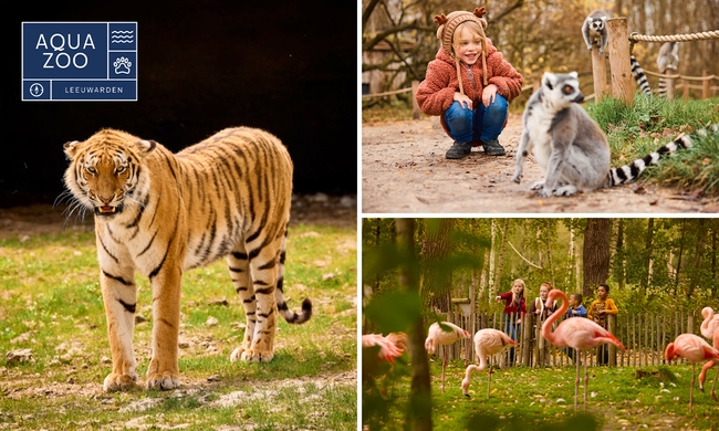 Ontdek AquaZoo: avontuurlijk dagje tussen de dieren - Social Deal