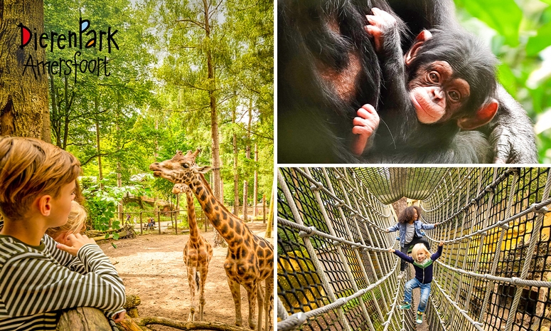 Ontdek DierenPark Amersfoort: ga op avontuur tussen de dieren - Social Deal