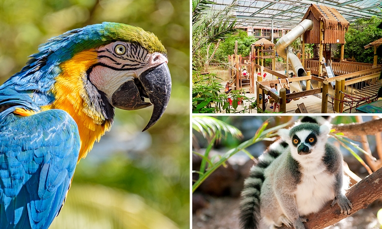 Voordelig uit eten bij Beers & Barrels Breda