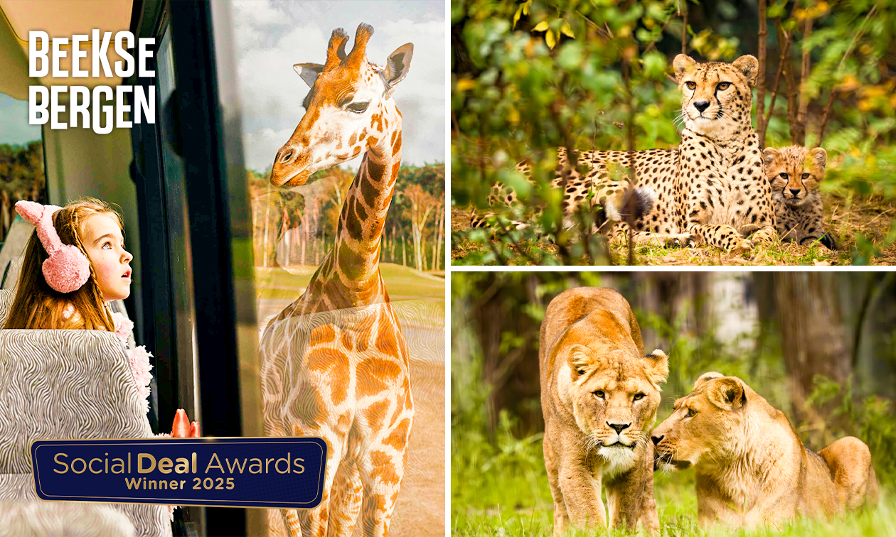 Safaripark Beekse Bergen, Entree Safaripark Beekse Bergen bespaar 35% ...