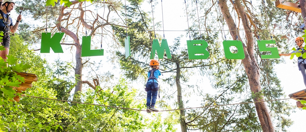 Met korting klimmen bij Klimbos Harderwijk - Social Deal