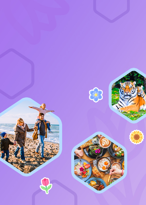 Maak kennis met De Blauwe Hoeve tegen een onverslaanbare prijs - Social ...